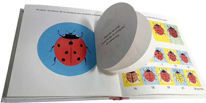 La mariquita - Literatil